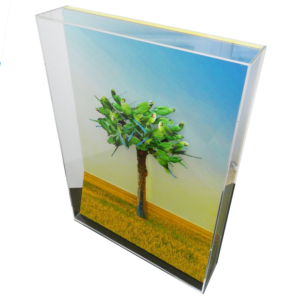 Ian Butcher – ArtCan