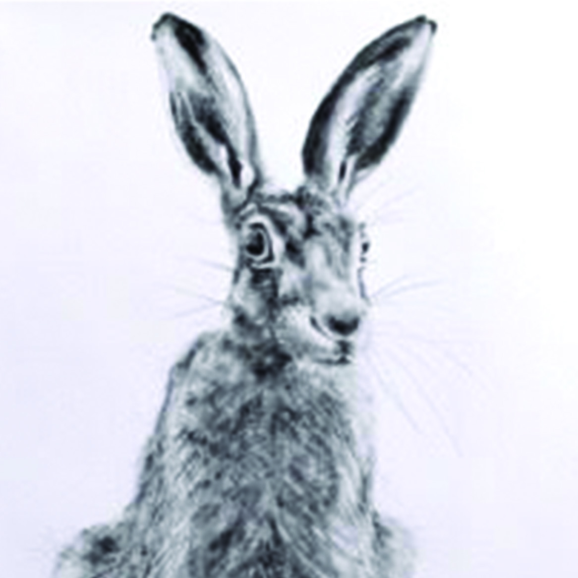 Jill Meager – ArtCan